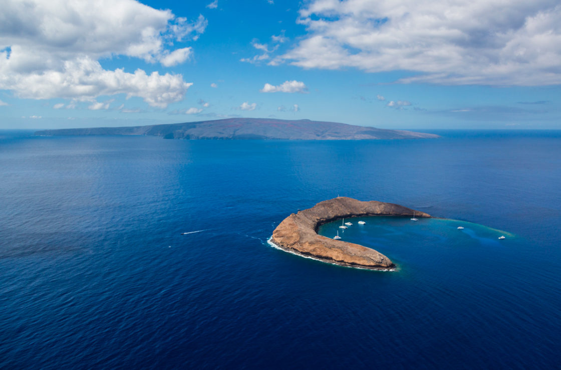 Things To Do In Maui: Your Guide To Molokini
